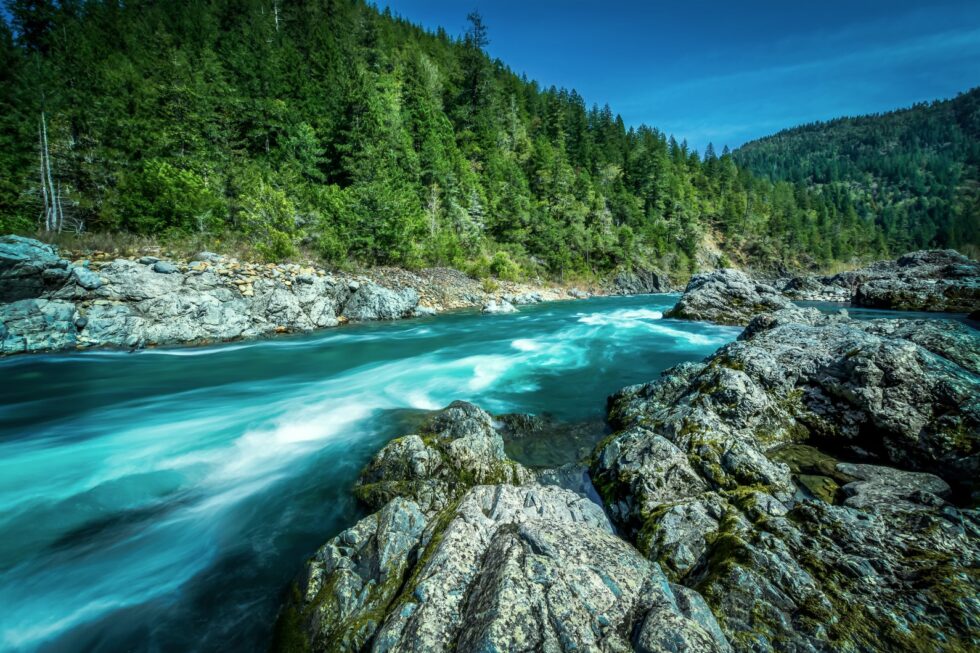 Encourage Elected Officials to Protect Vital Salmon Strongholds ...