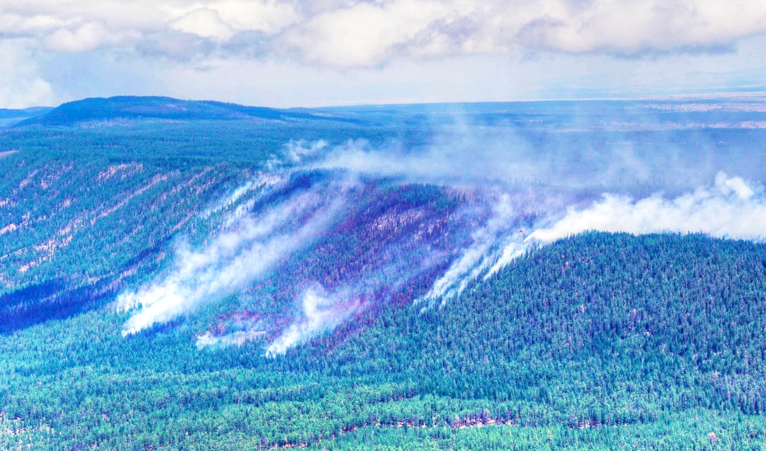 Fire Escapes Containment; Retardant Proves Ineffective - Forest Service ...