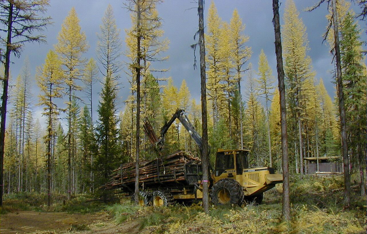 Four More Years of President Trump - Forest Service Employees for ...