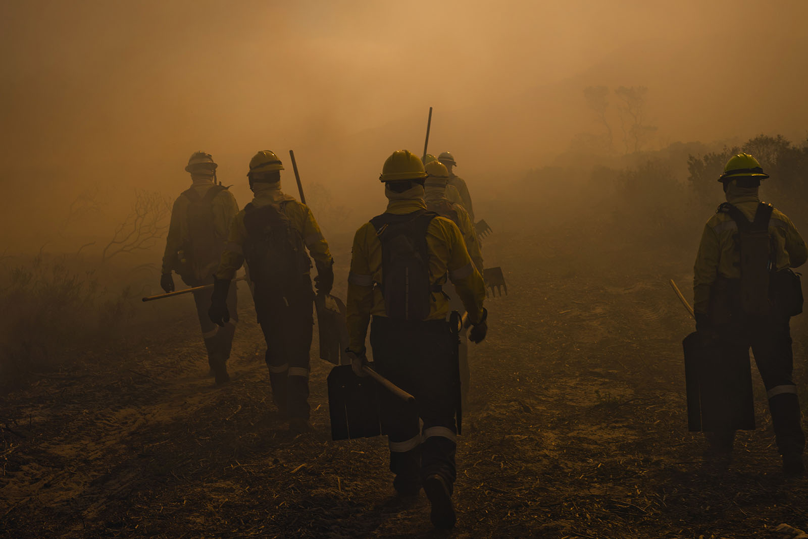 Interior Announces Next Steps to Consolidate Wildland Firefighting ...