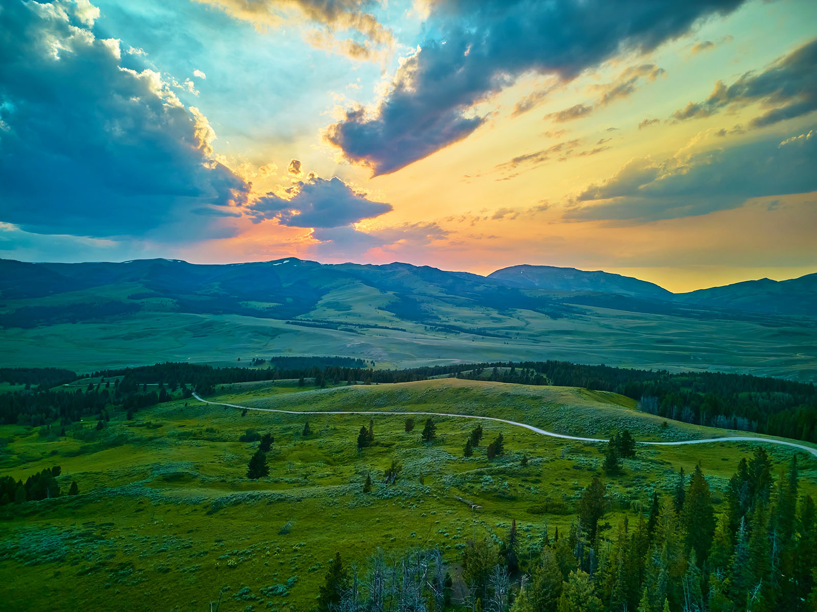 Featured Forests - Forest Service Employees for Environmental Ethics