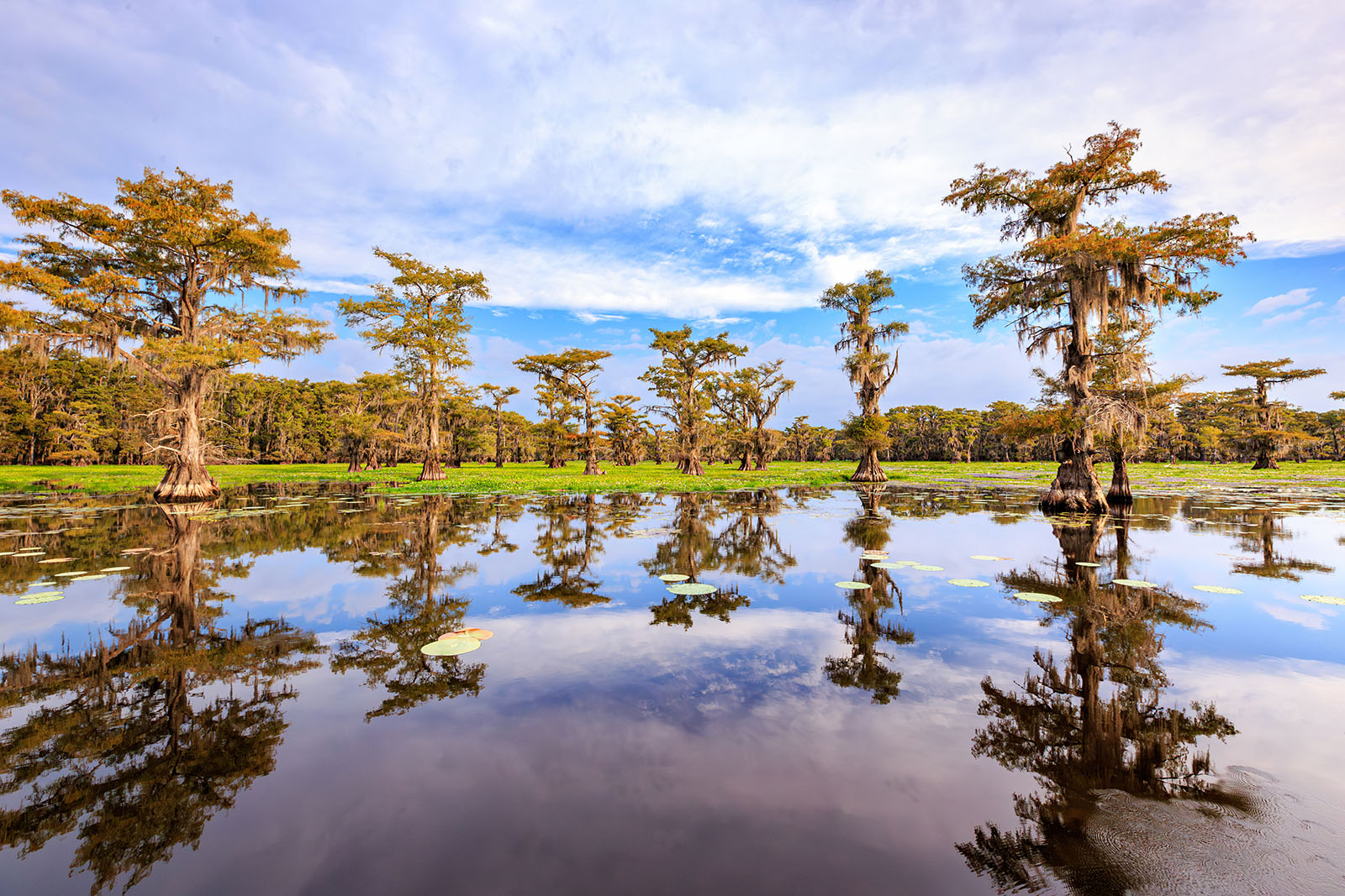 Caddo Lake — Wetland of International Importance - Forest Service ...