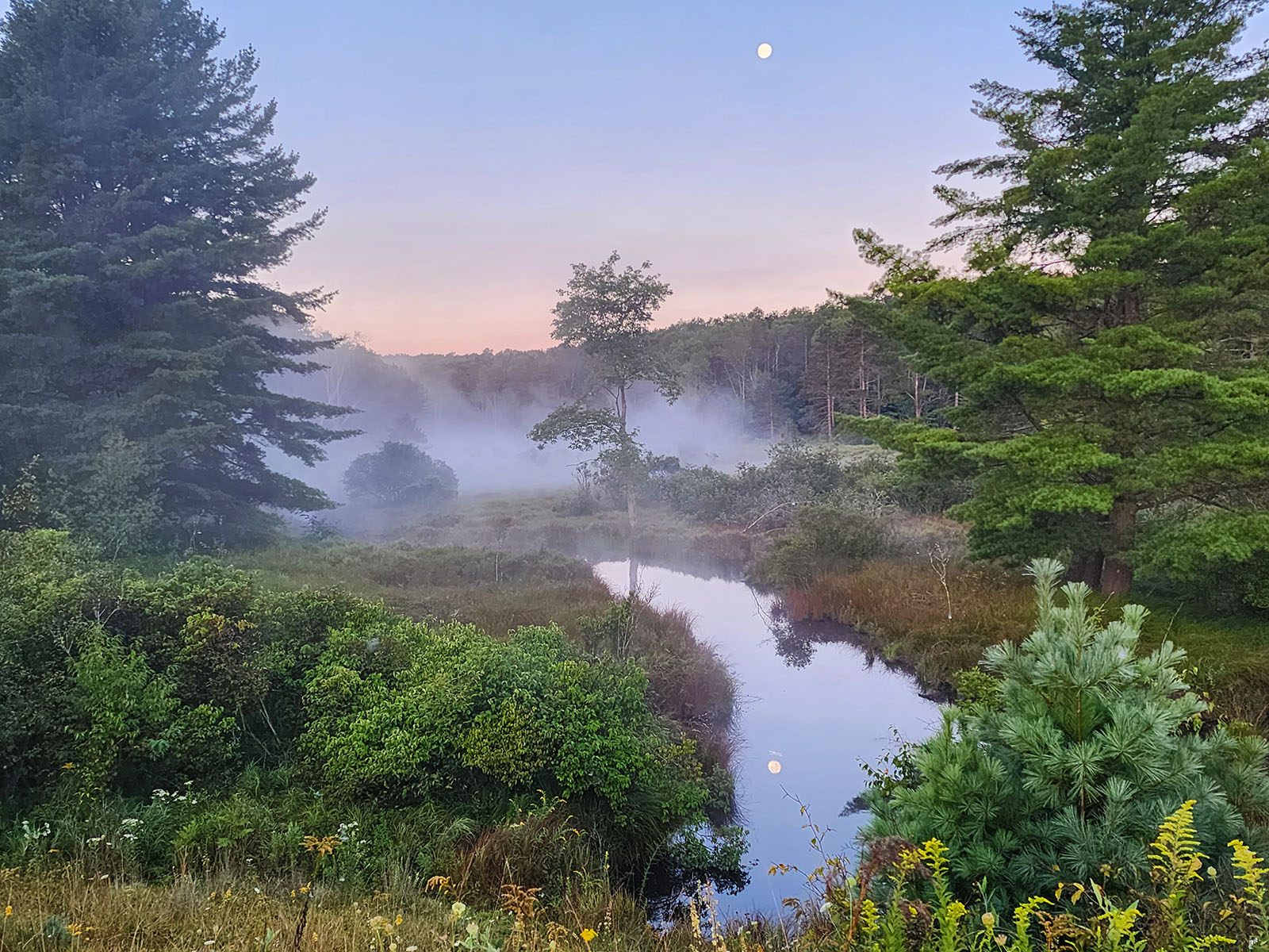 Featured Forests - Forest Service Employees for Environmental Ethics