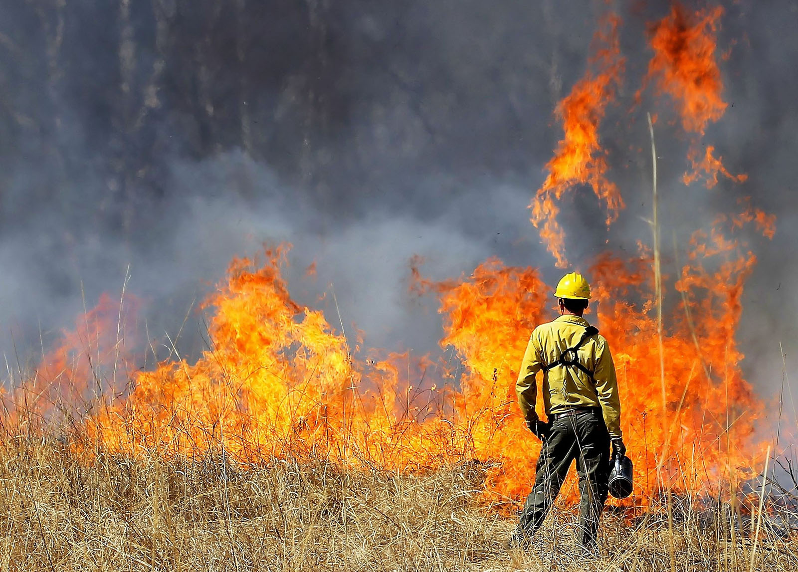 More Prescribed Fire in Sequoia, Sierra National Forests - Forest ...