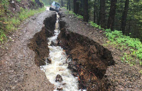 Roadless Rule Rescission Threatens Vital Ecosystems - Forest Service ...
